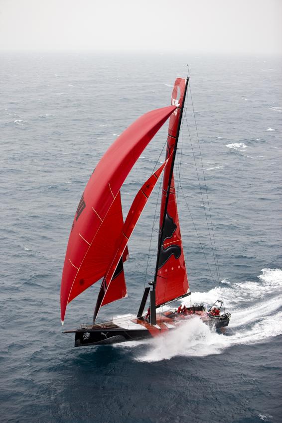 Botin Partners - BP198 Puma Il Mostro