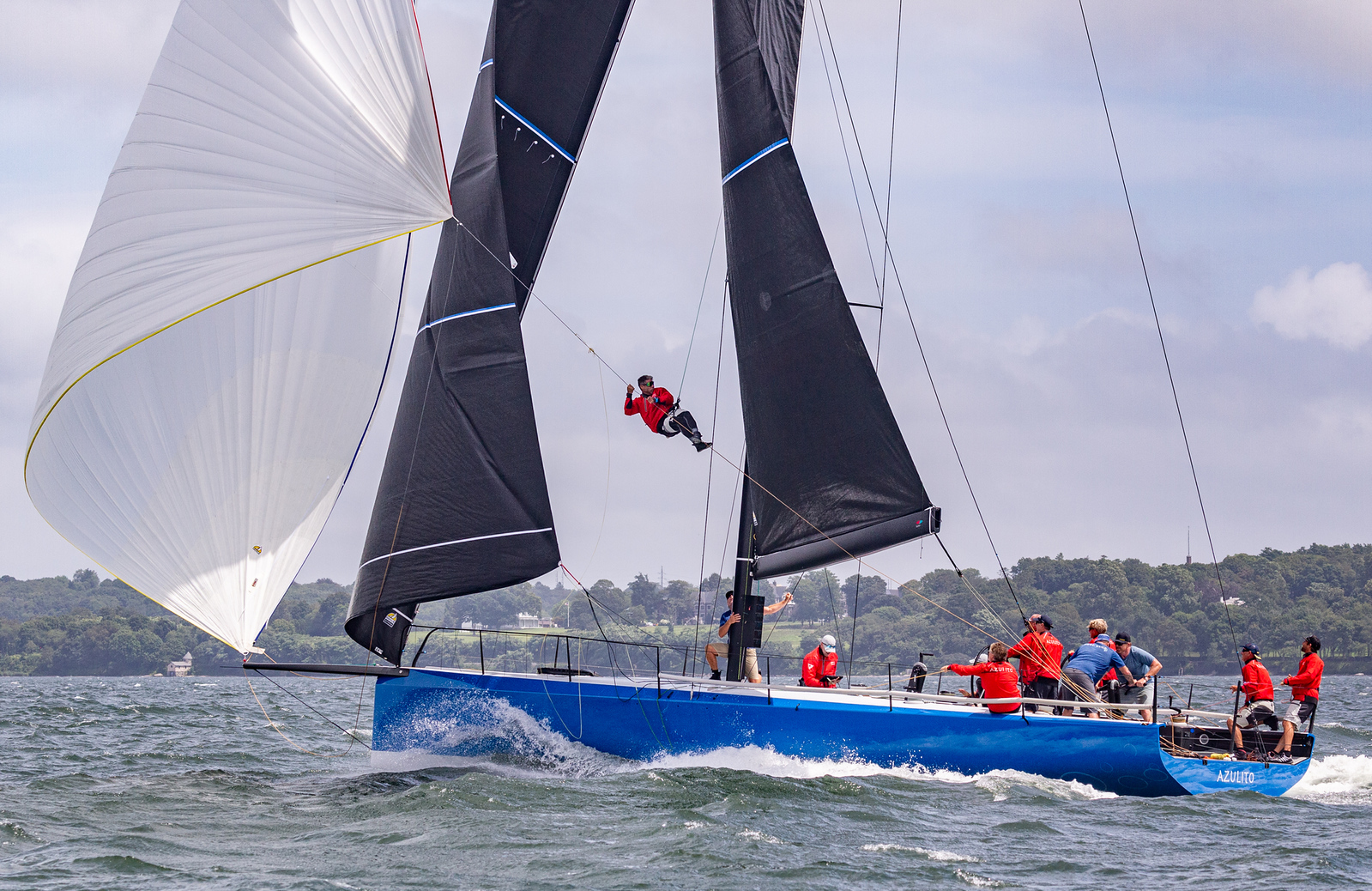 BP348-Azulito - Botin Partners